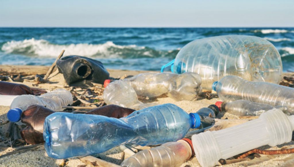 Plastic Use Audit - O'Neill Sea Odyssey