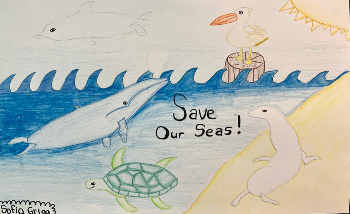 Student Action Project - O'Neill Sea Odyssey