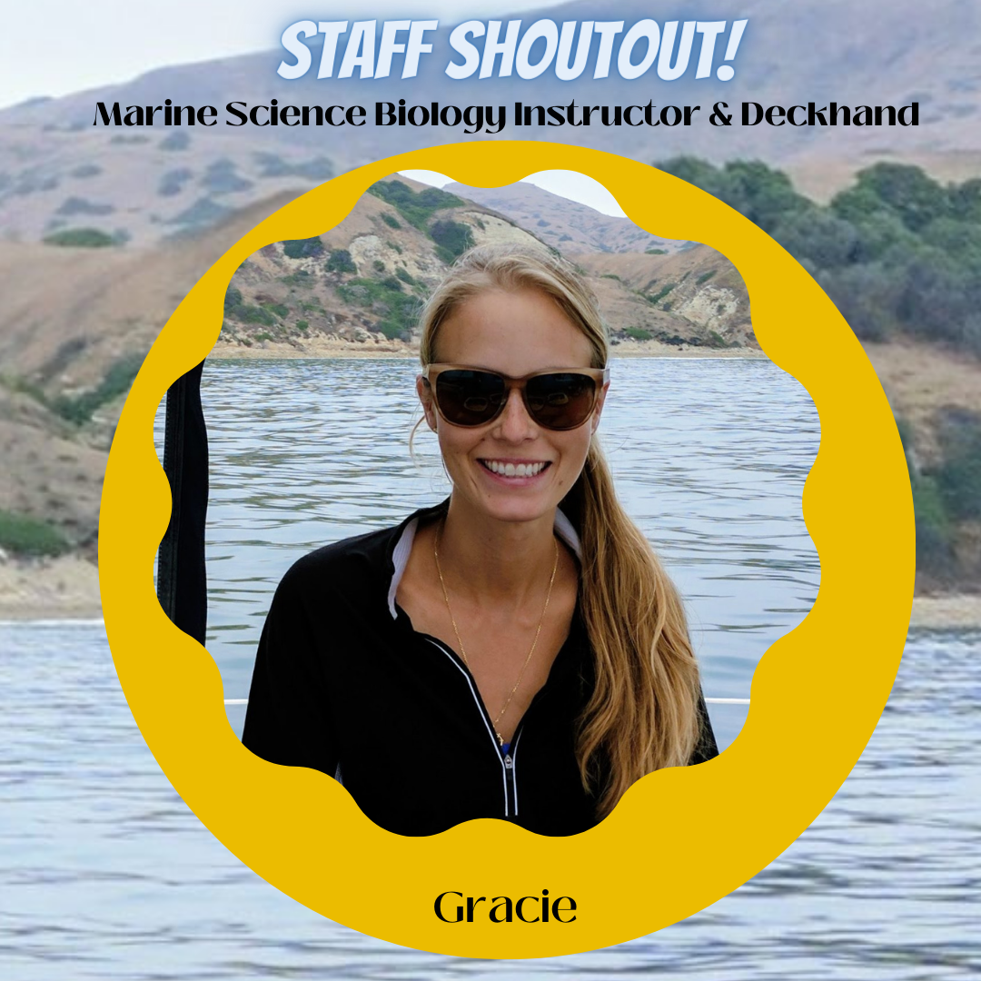 Home - O'Neill Sea Odyssey