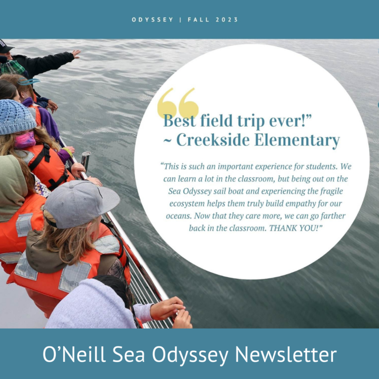 Home - O'Neill Sea Odyssey